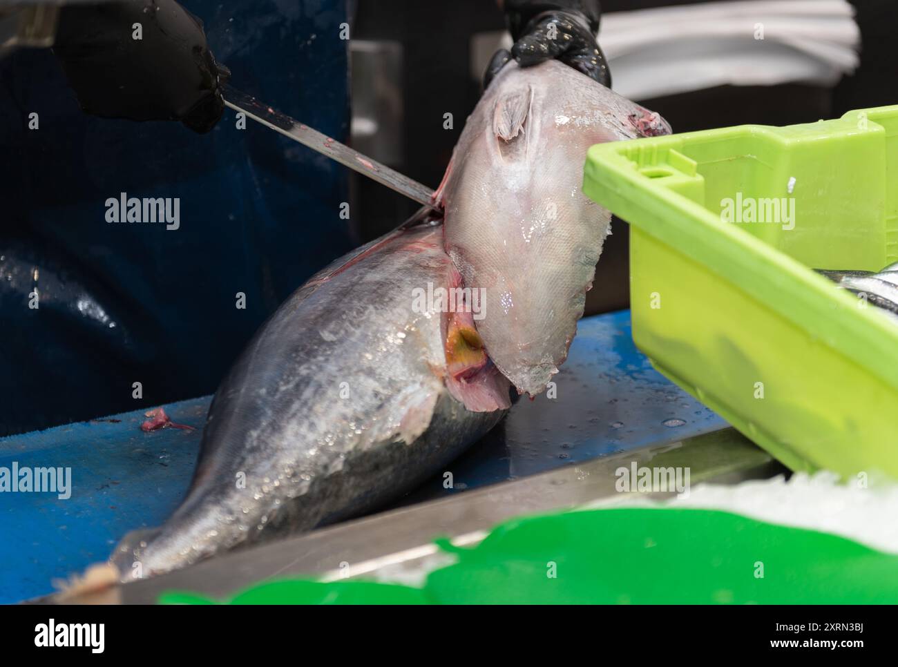 fishmonger preparing a tuna to display for sale Stock Photo - Alamy