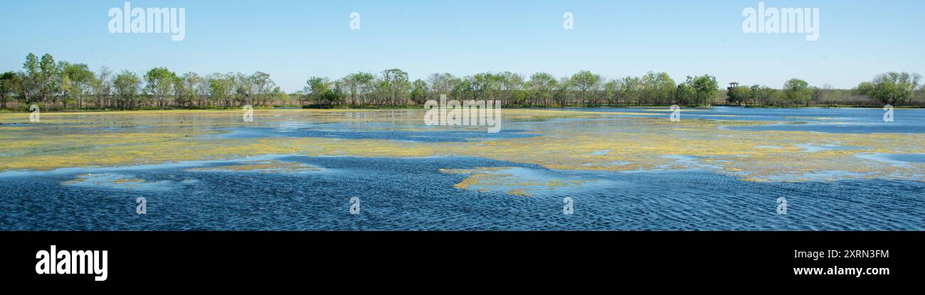 Brazos Bend State Park, Texas Stock Photo - Alamy