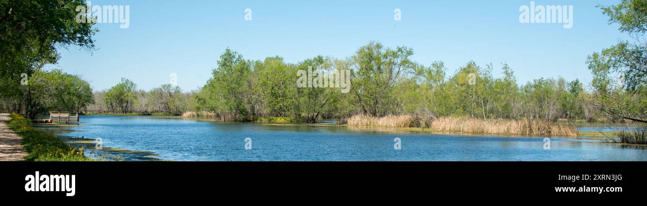 Brazos Bend State Park, Texas Stock Photo - Alamy