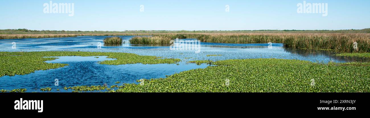Brazos Bend State Park, Texas Stock Photo - Alamy