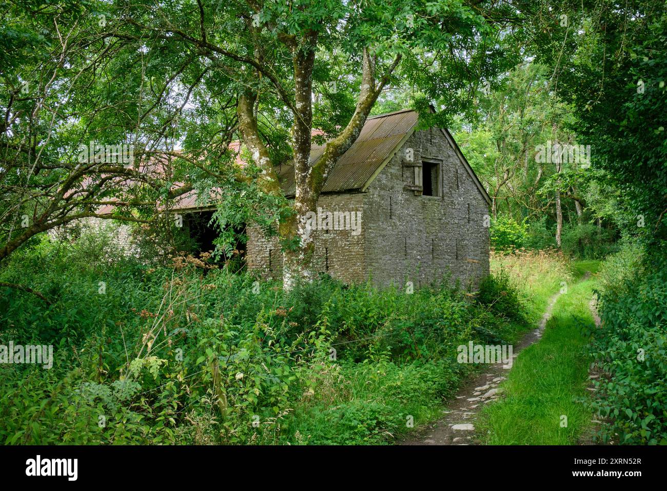 Burnt stone hi-res stock photography and images - Alamy