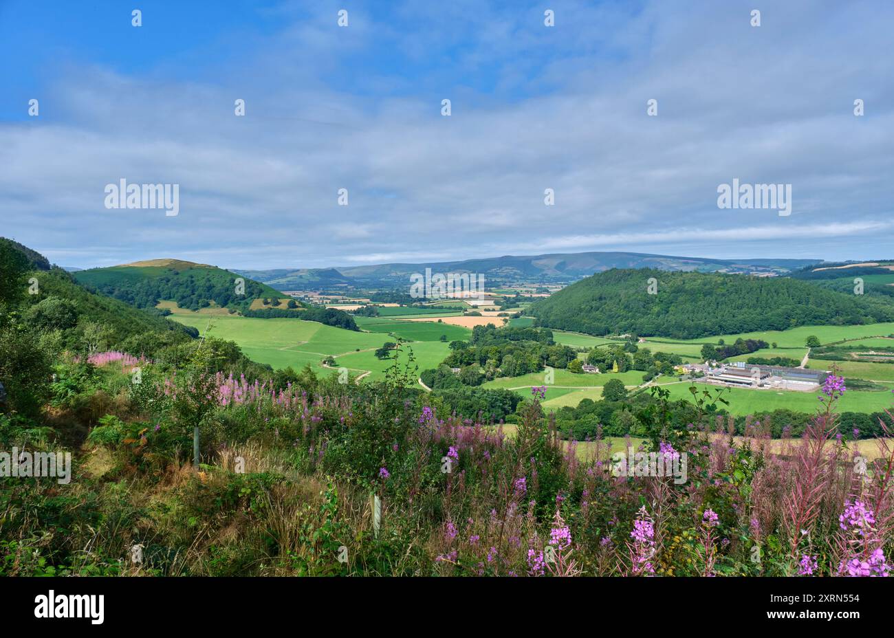 Brampton scar hi-res stock photography and images - Alamy