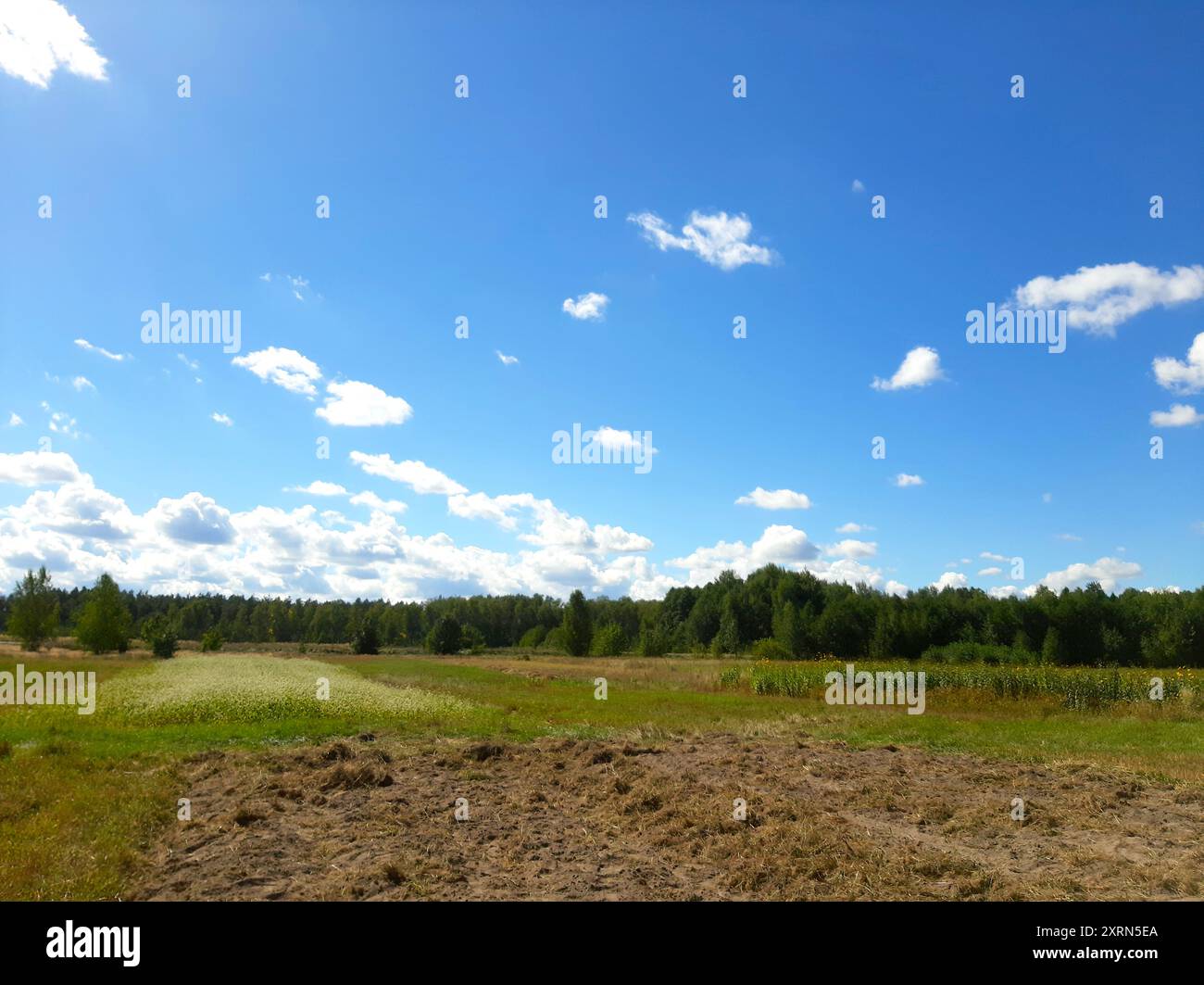 Sprawling field stretches hi-res stock photography and images - Alamy