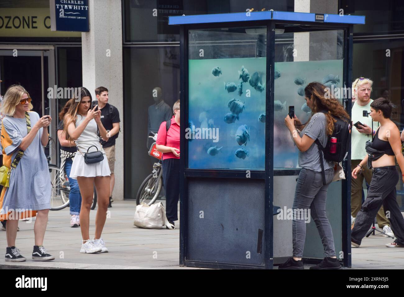 Crowds take photos of the police sentry box in the City of London with ...