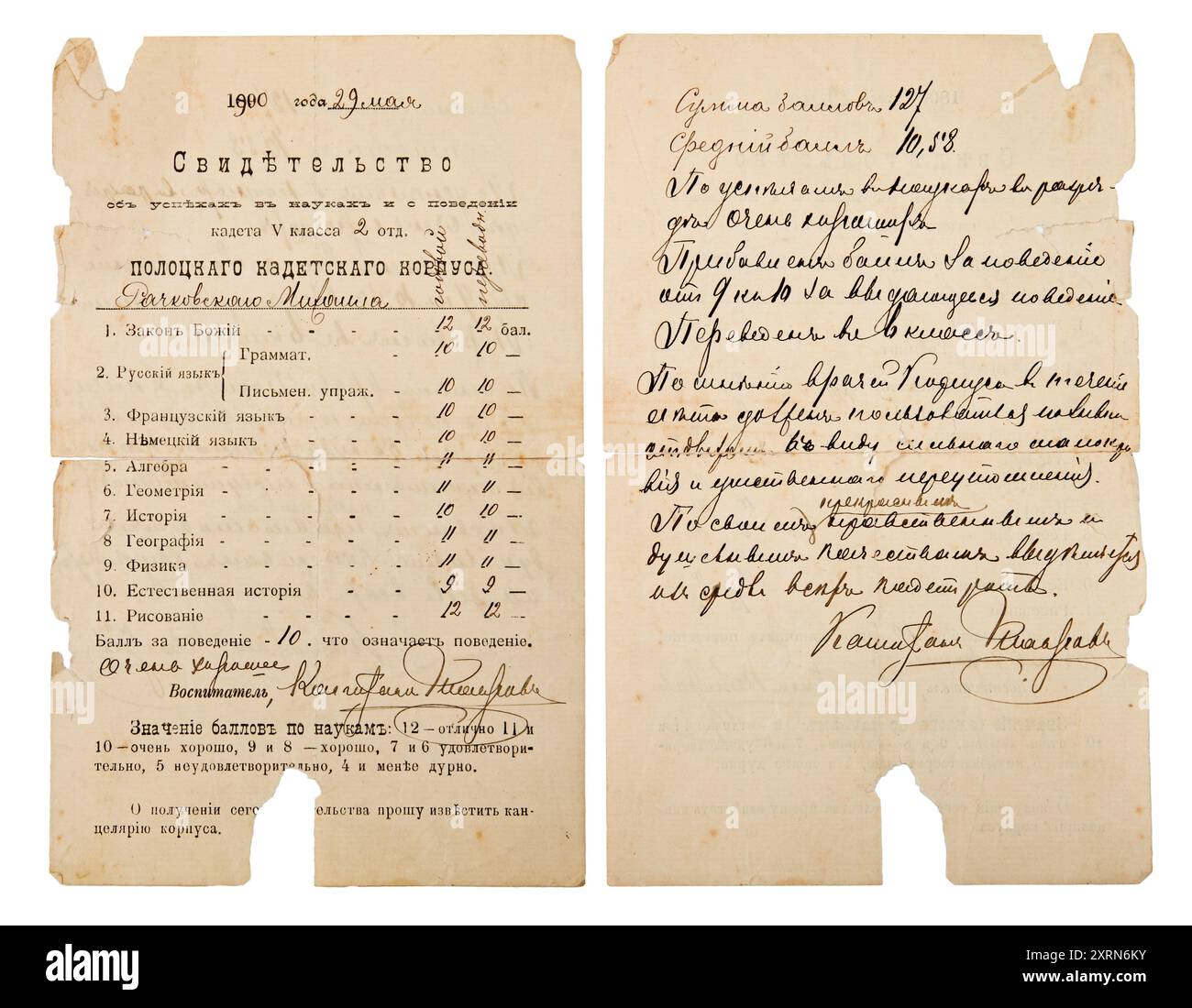 Characteristic behavior Cut Out Stock Images & Pictures - Alamy