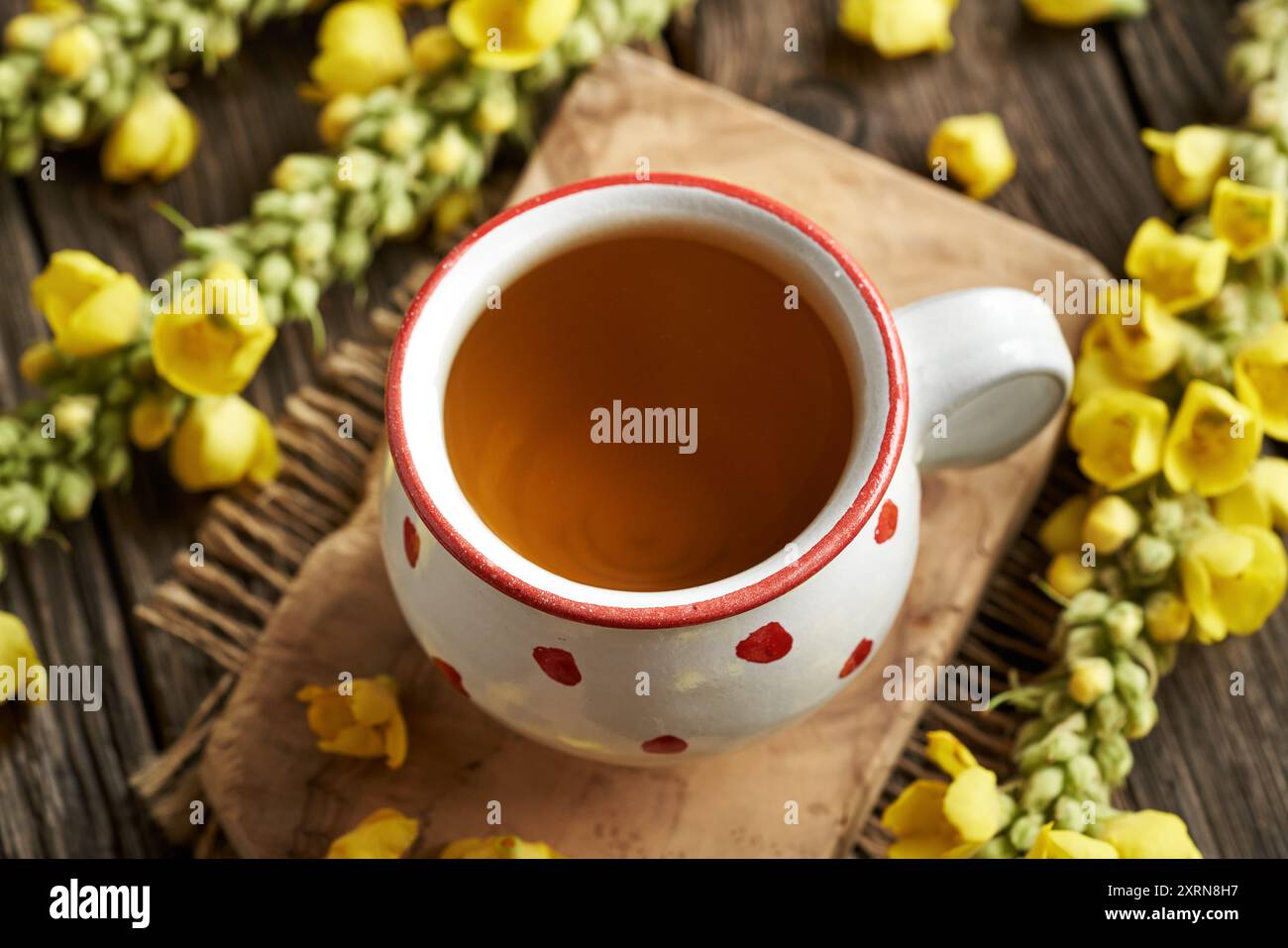 Mullein tea in a white and red dotted cup with fresh blooming Verbascum ...