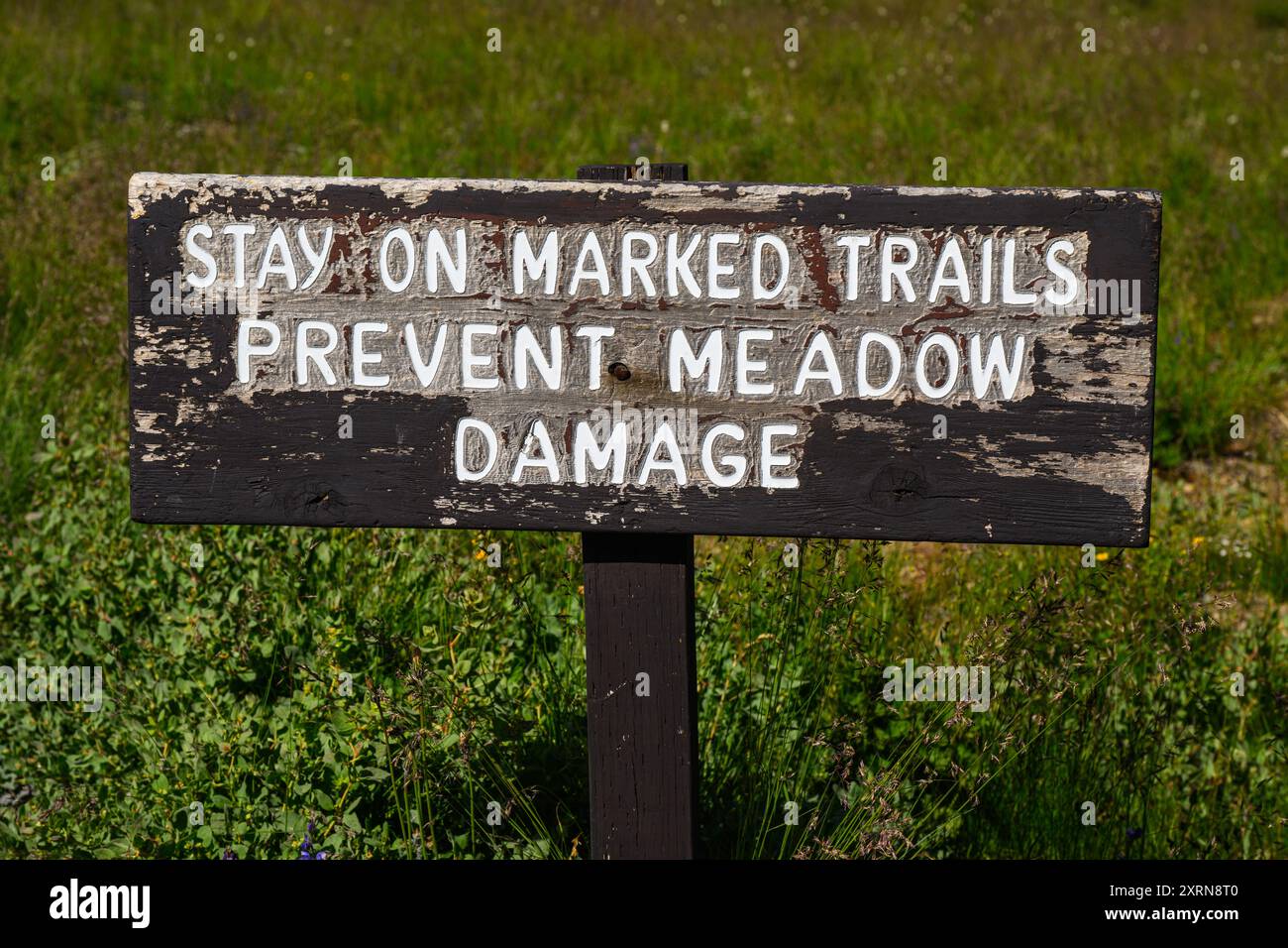 Sign at Mount Rainier National Park with message stay on marked trails ...