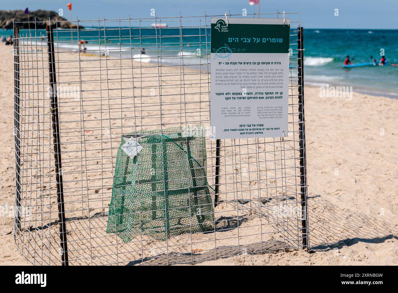 Sea turtle nest on Palmachim beach protected with fence from human and ...