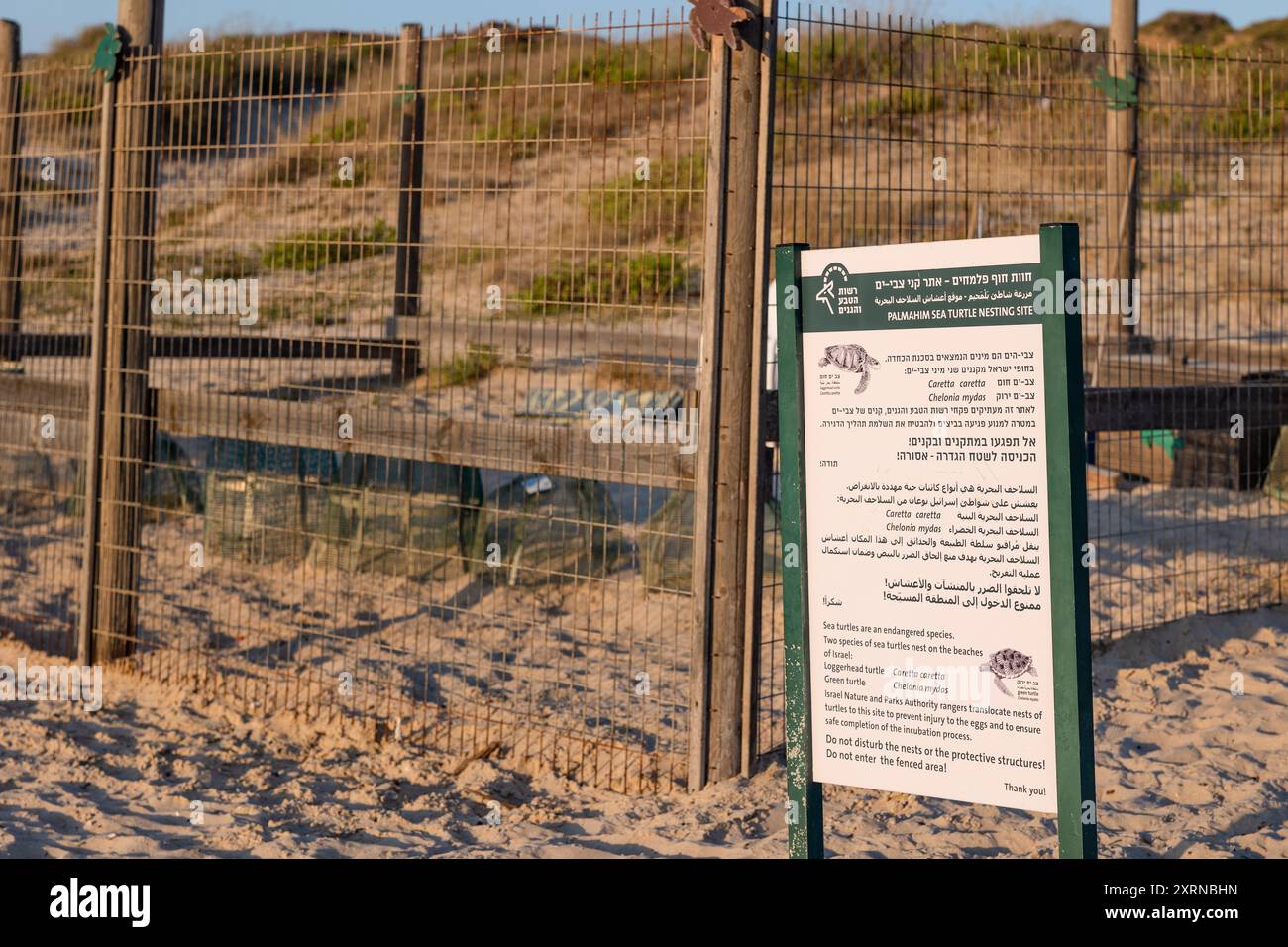 Turtle nesting warning sign hi-res stock photography and images - Alamy