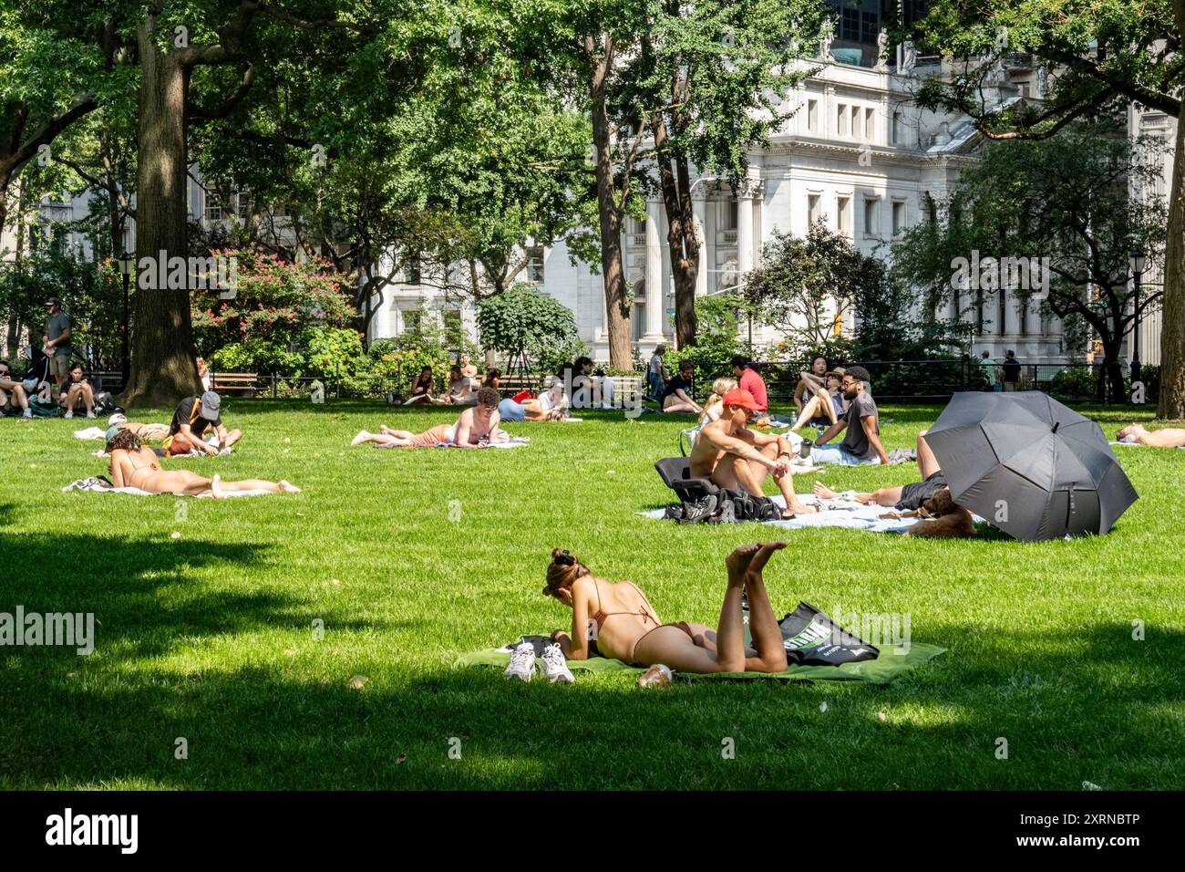 Madison Square Park is a popular oasis in summertime, New York City, USA, 2024 Stock Photo - Alamy