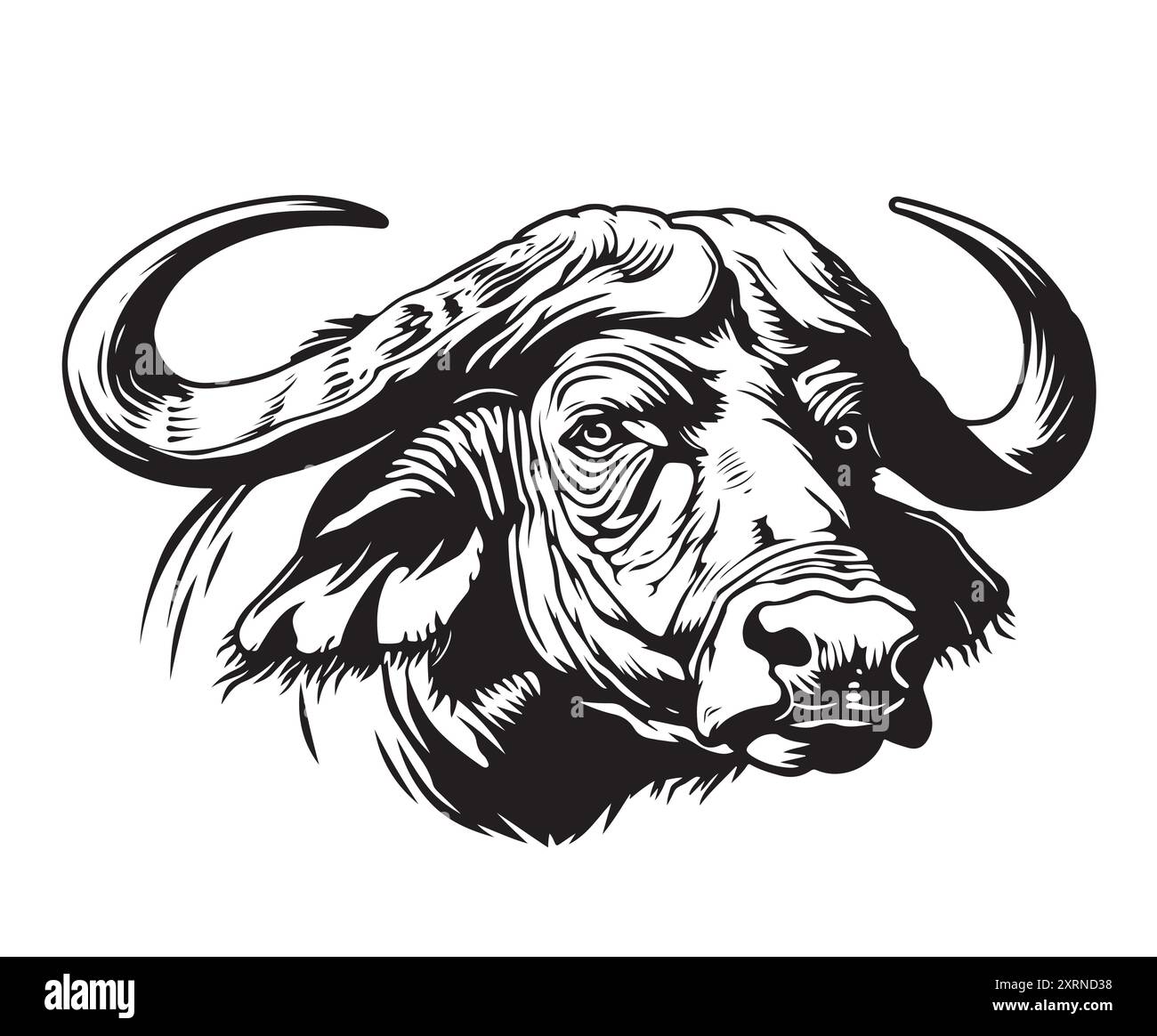 African buffalo. Hand drawn vector sketch illustration. Black outline ...
