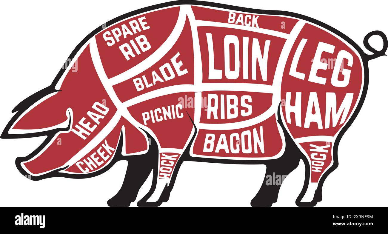 Butcher diagram, scheme and guide - Pork cuts. Set of pig silhouettes ...