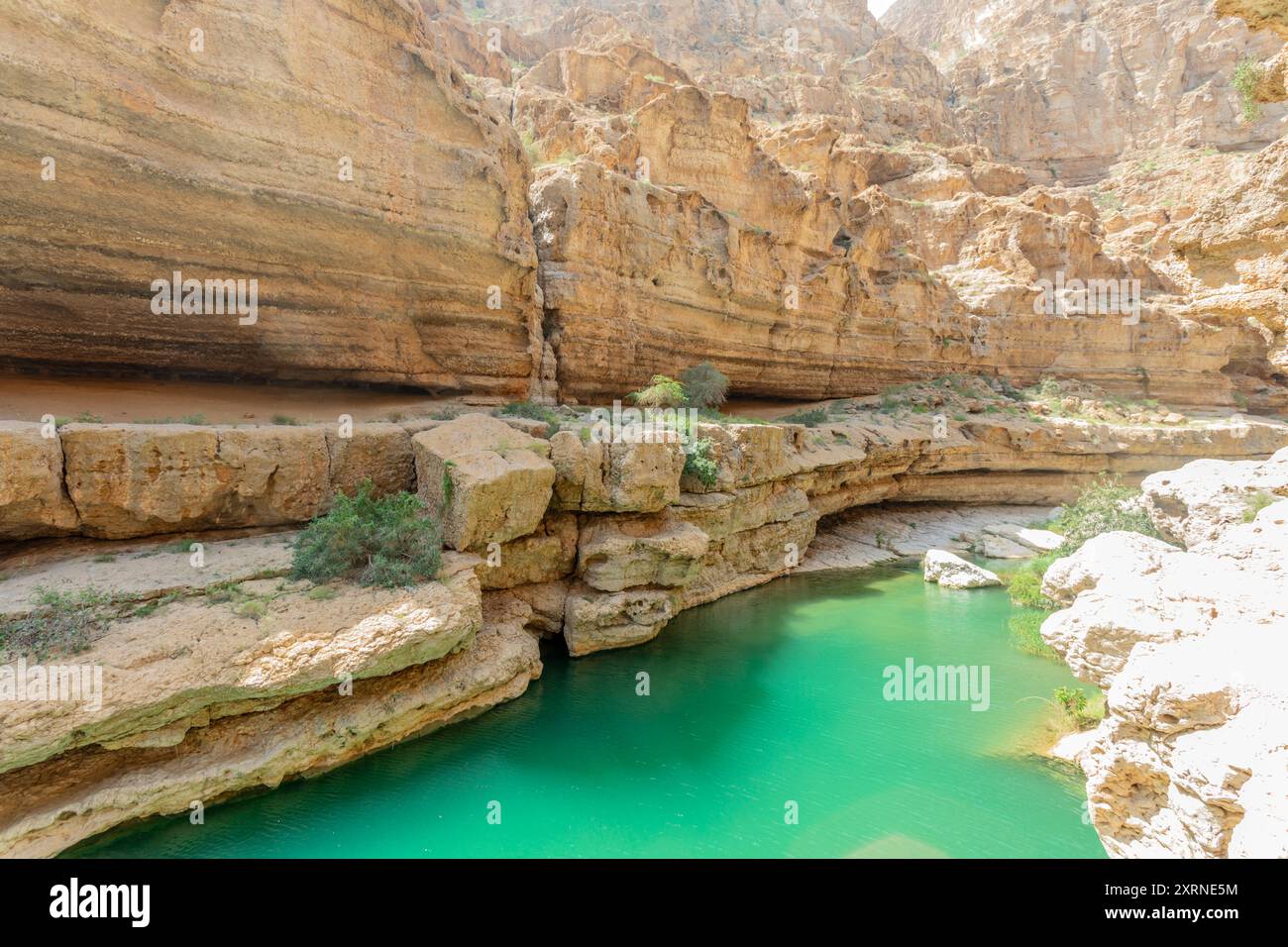 Green lake waters in the middle of Wadi Shab canyon, Tiwi, sultanate ...