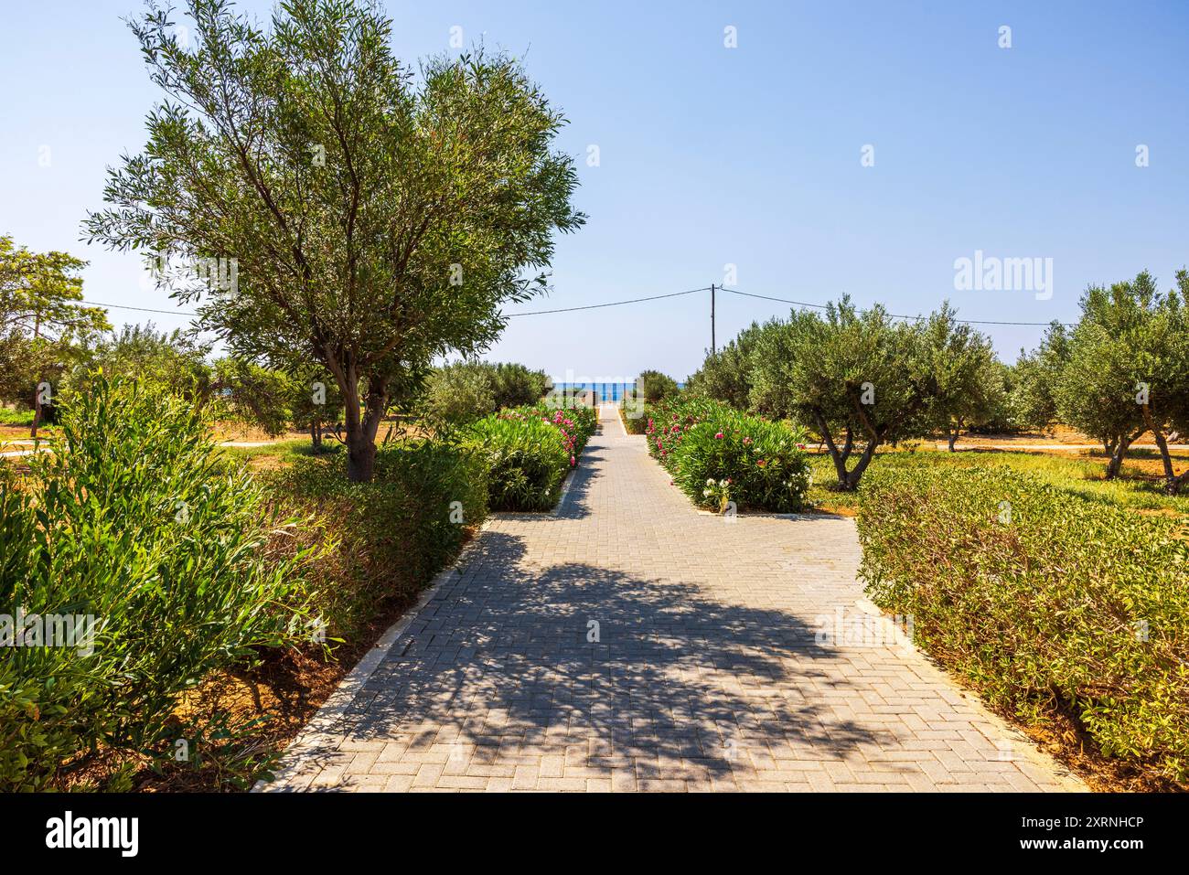 Pathway surrounded by greenery leading towards the sea in a hotel's ...