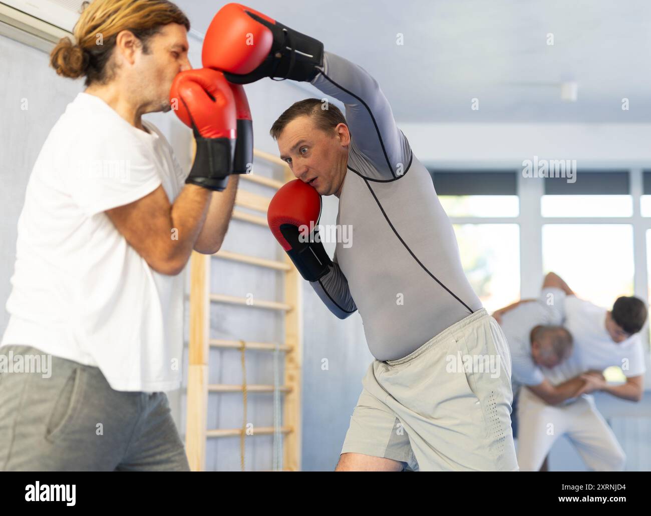 Blocking boxer boxing boxing hi-res stock photography and images - Alamy