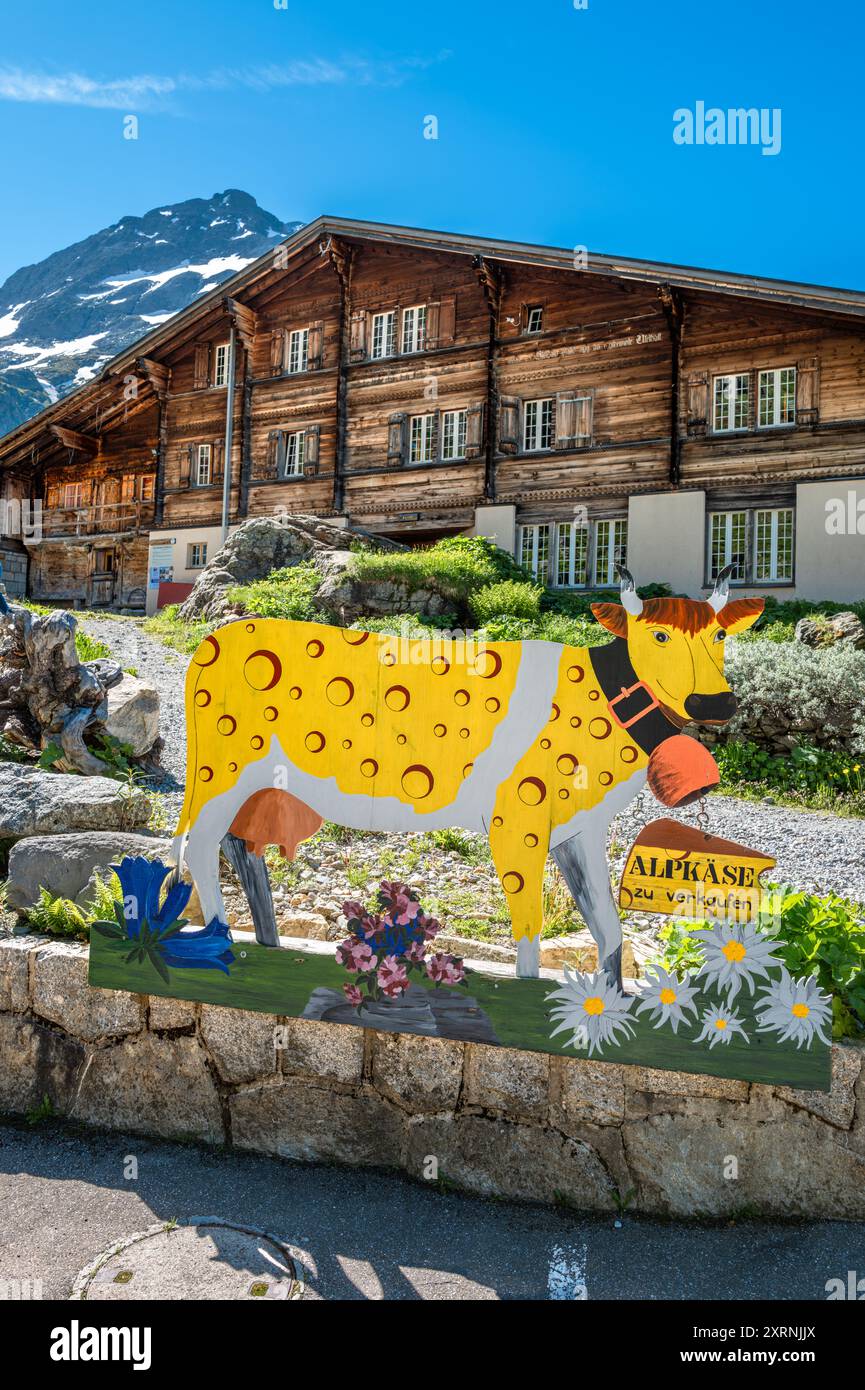Swiss cheese alpine cheese alpkase hi-res stock photography and images ...