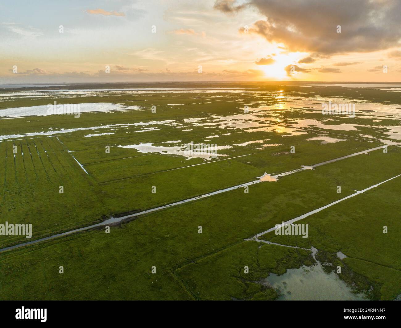 Aerial view of wetlands along Løgstør Bredning in northern Jutland ...