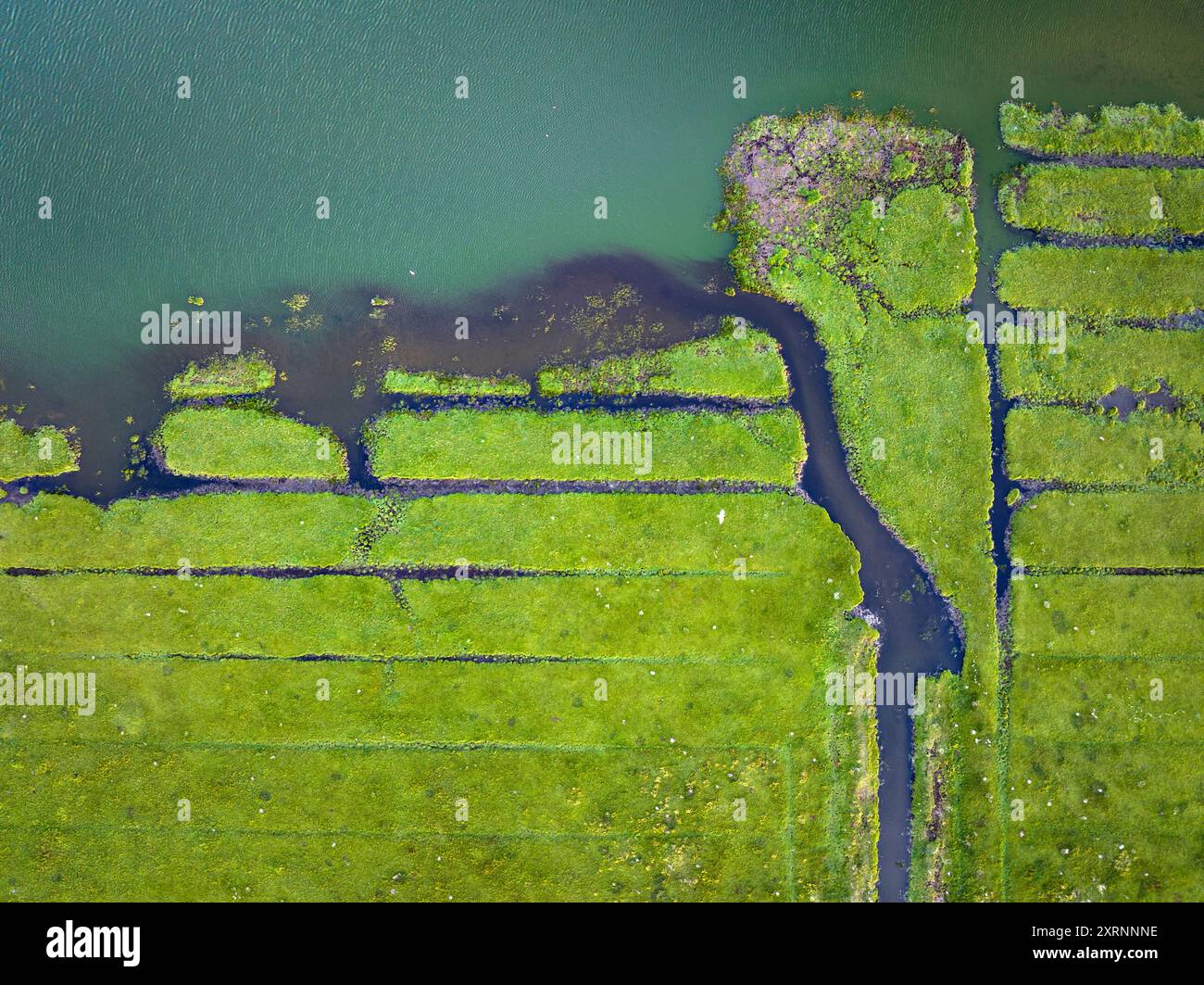 Aerial view of wetlands along Løgstør Bredning in northern Jutland ...