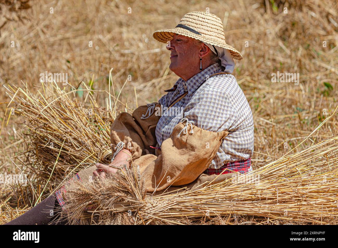 Small wheat island hi-res stock photography and images - Alamy