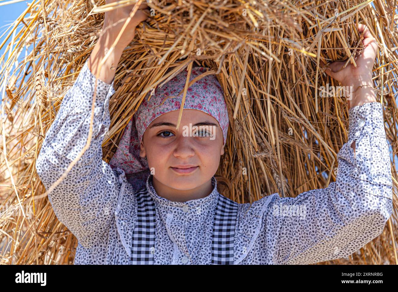 women reaping wheat Stock Photo - Alamy