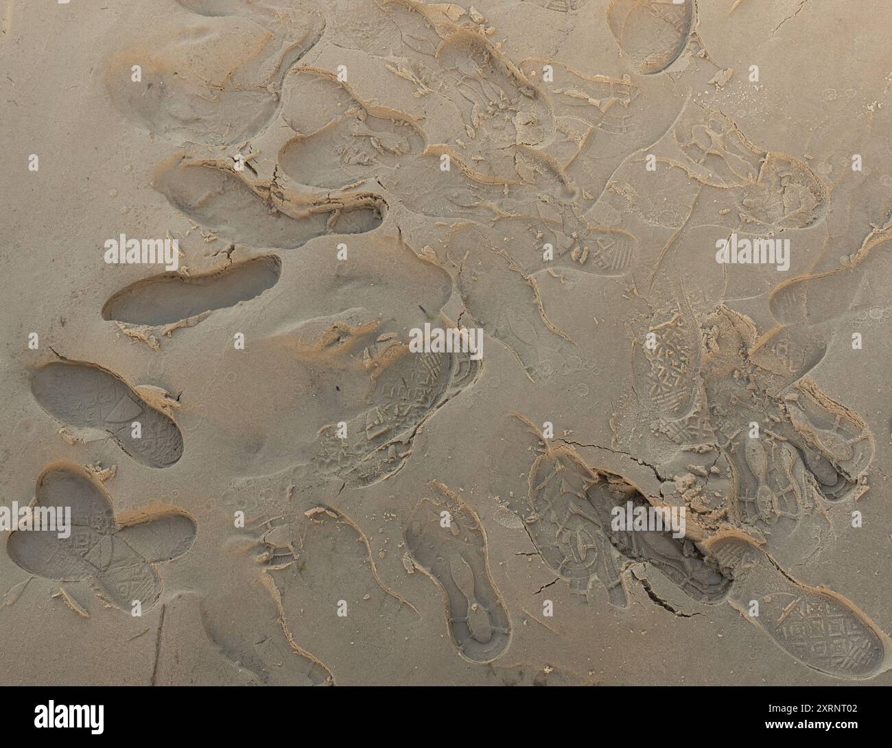 abstract textured foot marks stamped into the muddy sand nature's art ...