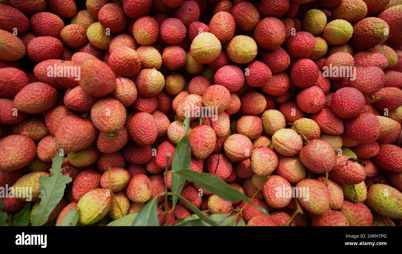 Ripe lychees, ready for sale at the market. Vibrant colors and juicy ...