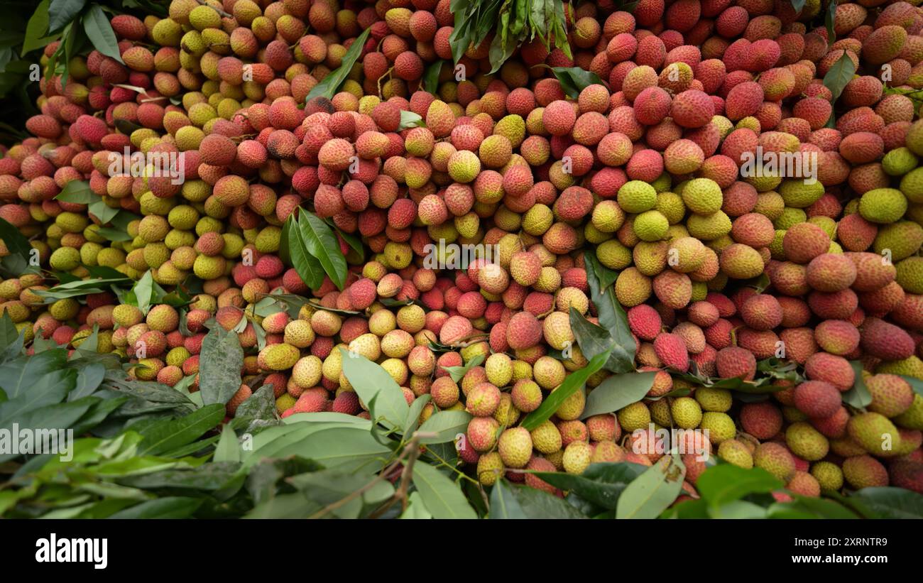 Ripe lychees, ready for sale at the market. Vibrant colors and juicy ...