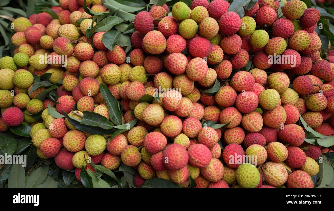 Ripe lychees, ready for sale at the market. Vibrant colors and juicy ...