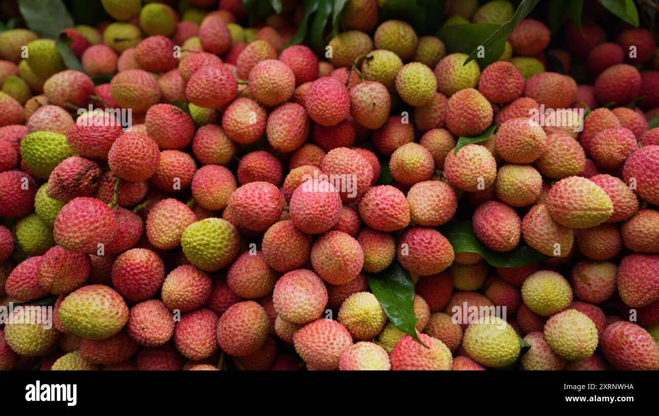 Ripe lychees, ready for sale at the market. Vibrant colors and juicy ...