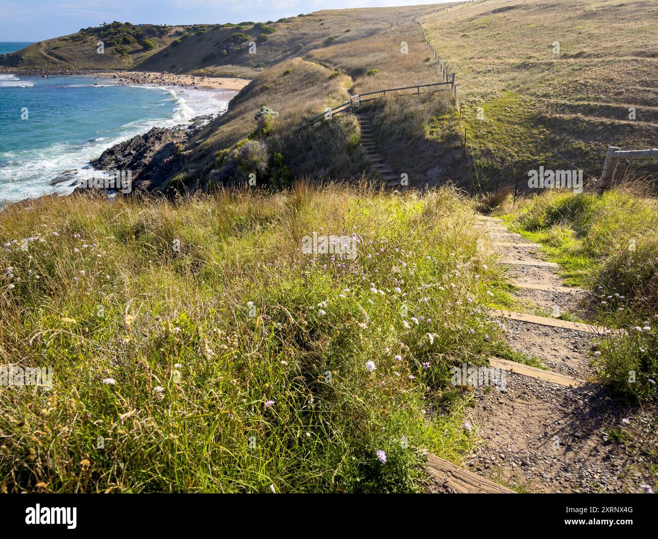 Wooden stairs winding through wildflowers near Kings Beach on the ...
