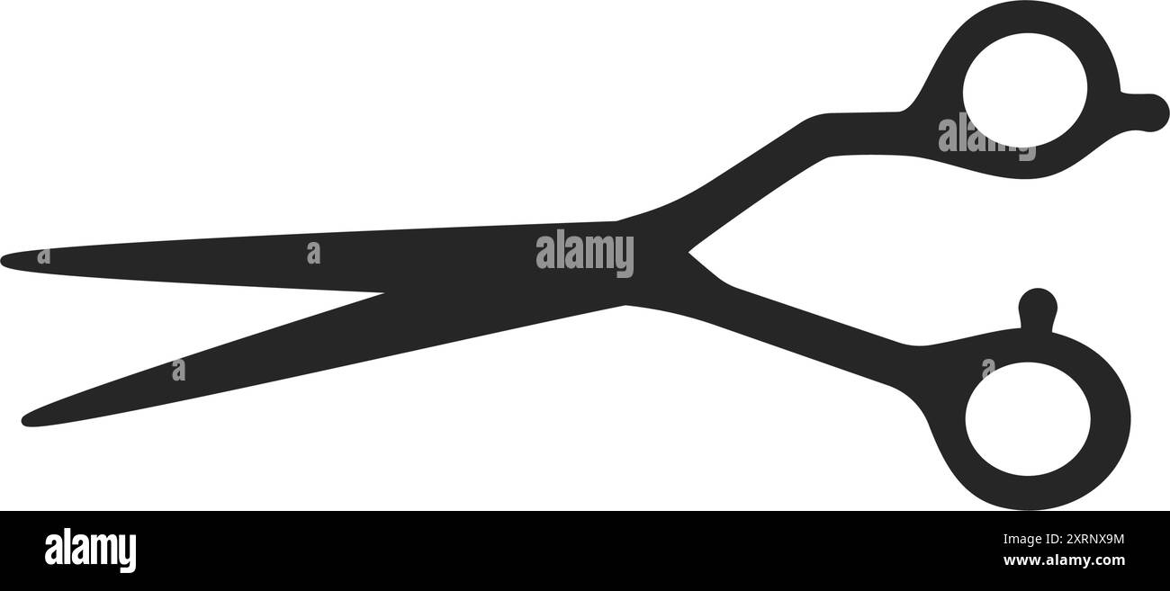 Professional hairdressing scissors or shears used by hairdressers in ...