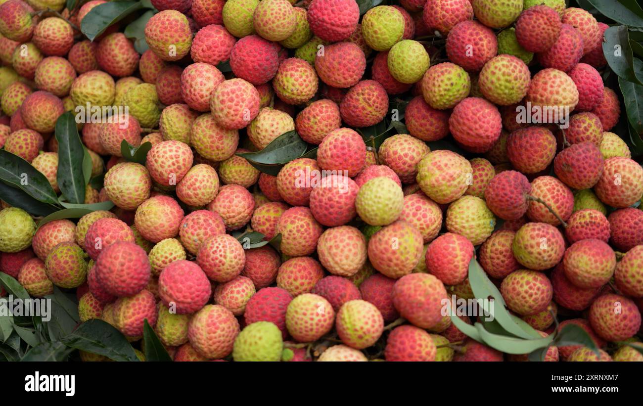 Ripe lychees, ready for sale at the market. Vibrant colors and juicy ...