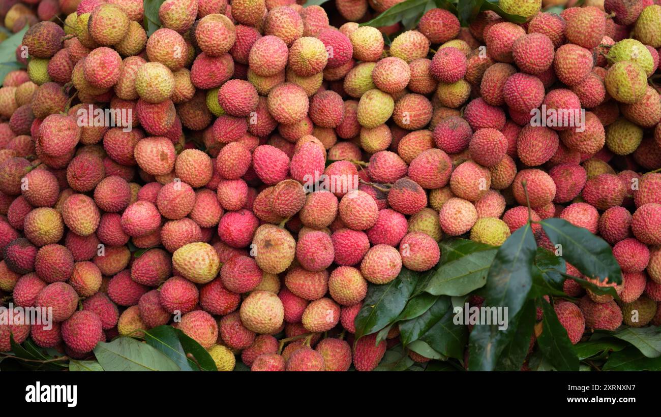 Ripe lychees, ready for sale at the market. Vibrant colors and juicy ...
