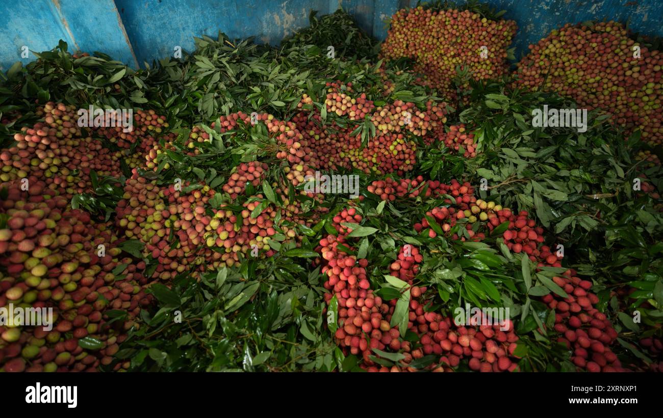 Ripe lychees, ready for sale at the market. Vibrant colors and juicy ...