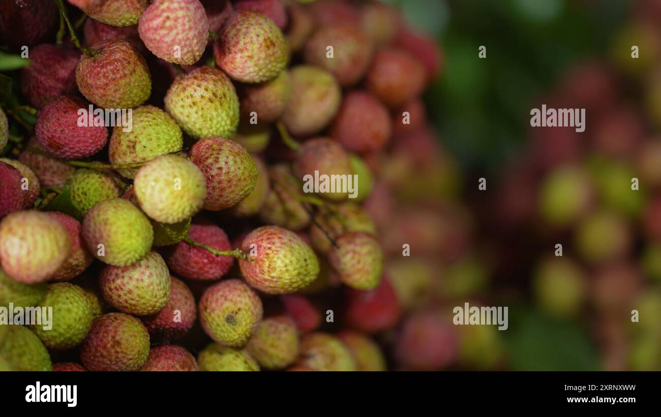 Ripe lychees, ready for sale at the market. Vibrant colors and juicy ...