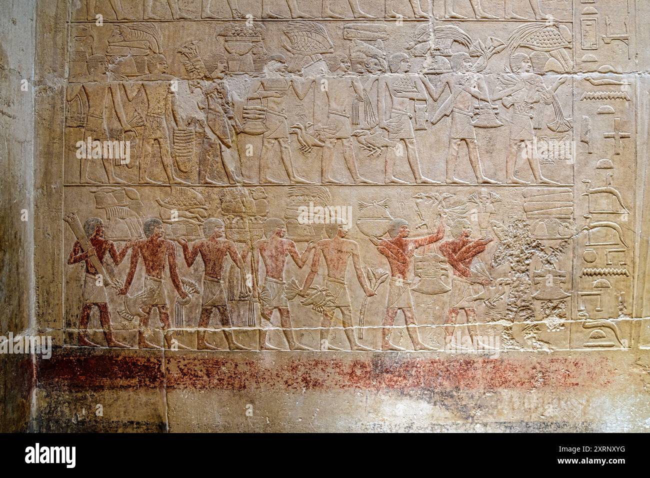 Bas relief from room V in the tomb of Kagemni showing a Procession of ...