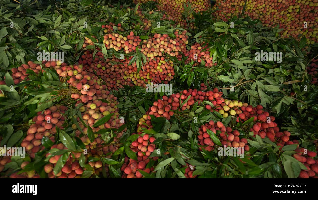 Ripe lychees, ready for sale at the market. Vibrant colors and juicy ...