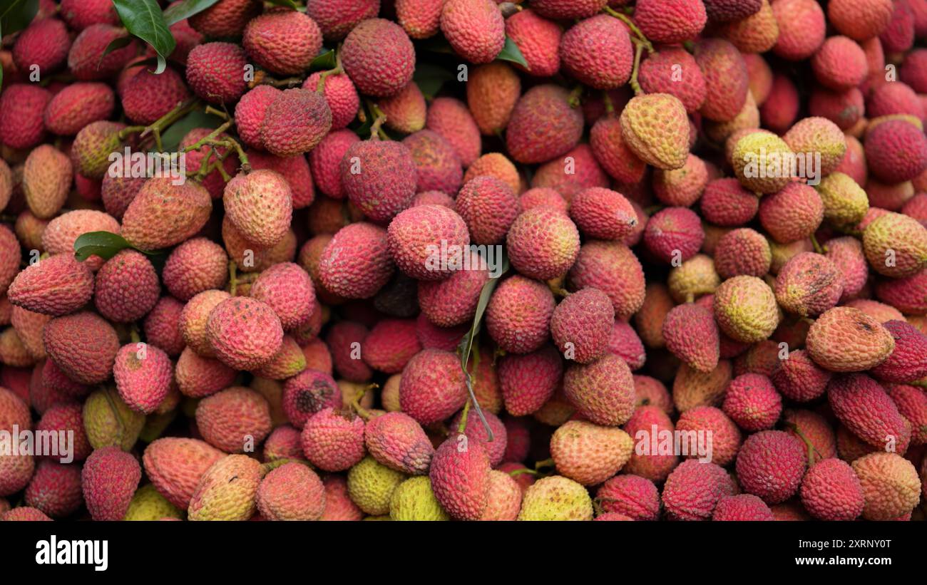 Ripe lychees, ready for sale at the market. Vibrant colors and juicy ...