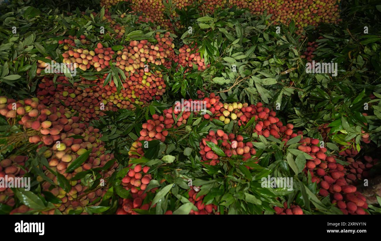 Ripe lychees, ready for sale at the market. Vibrant colors and juicy ...