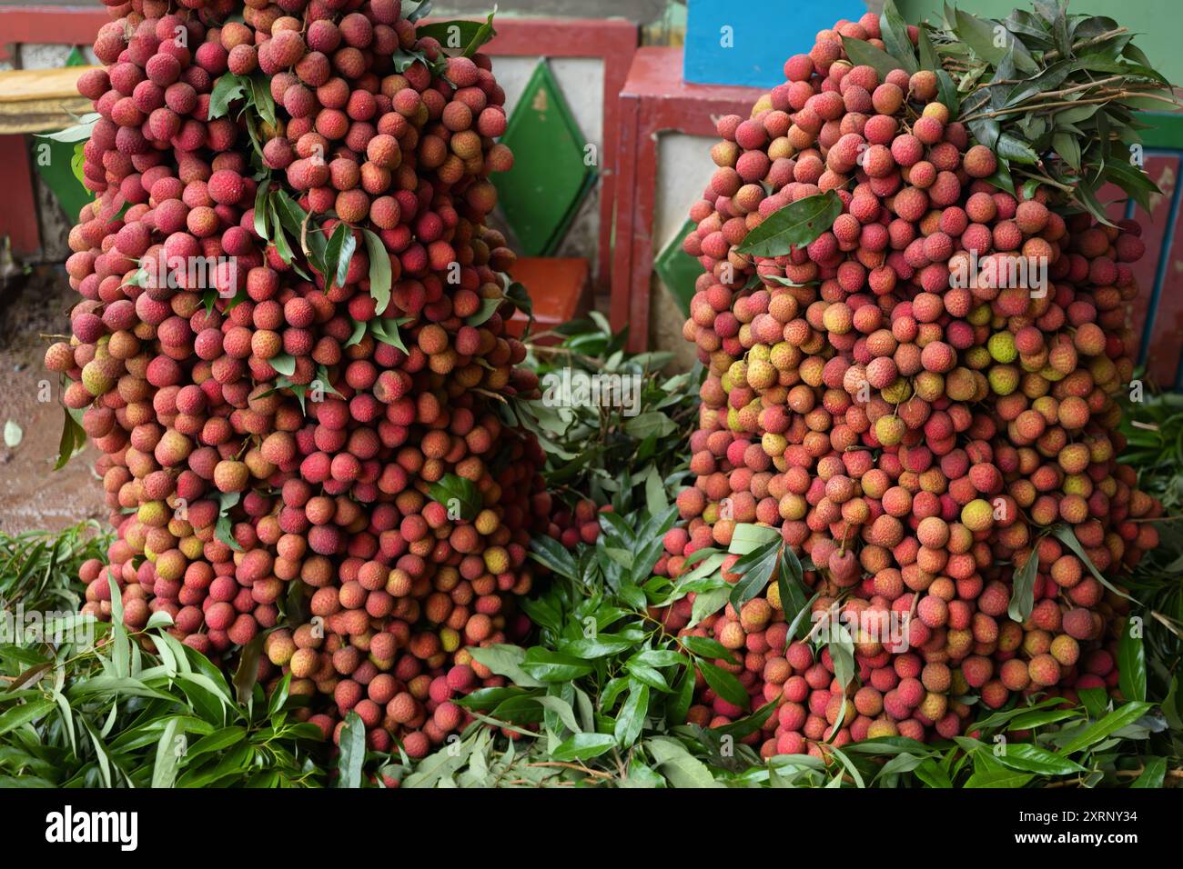 Ripe lychees, ready for sale at the market. Vibrant colors and juicy ...