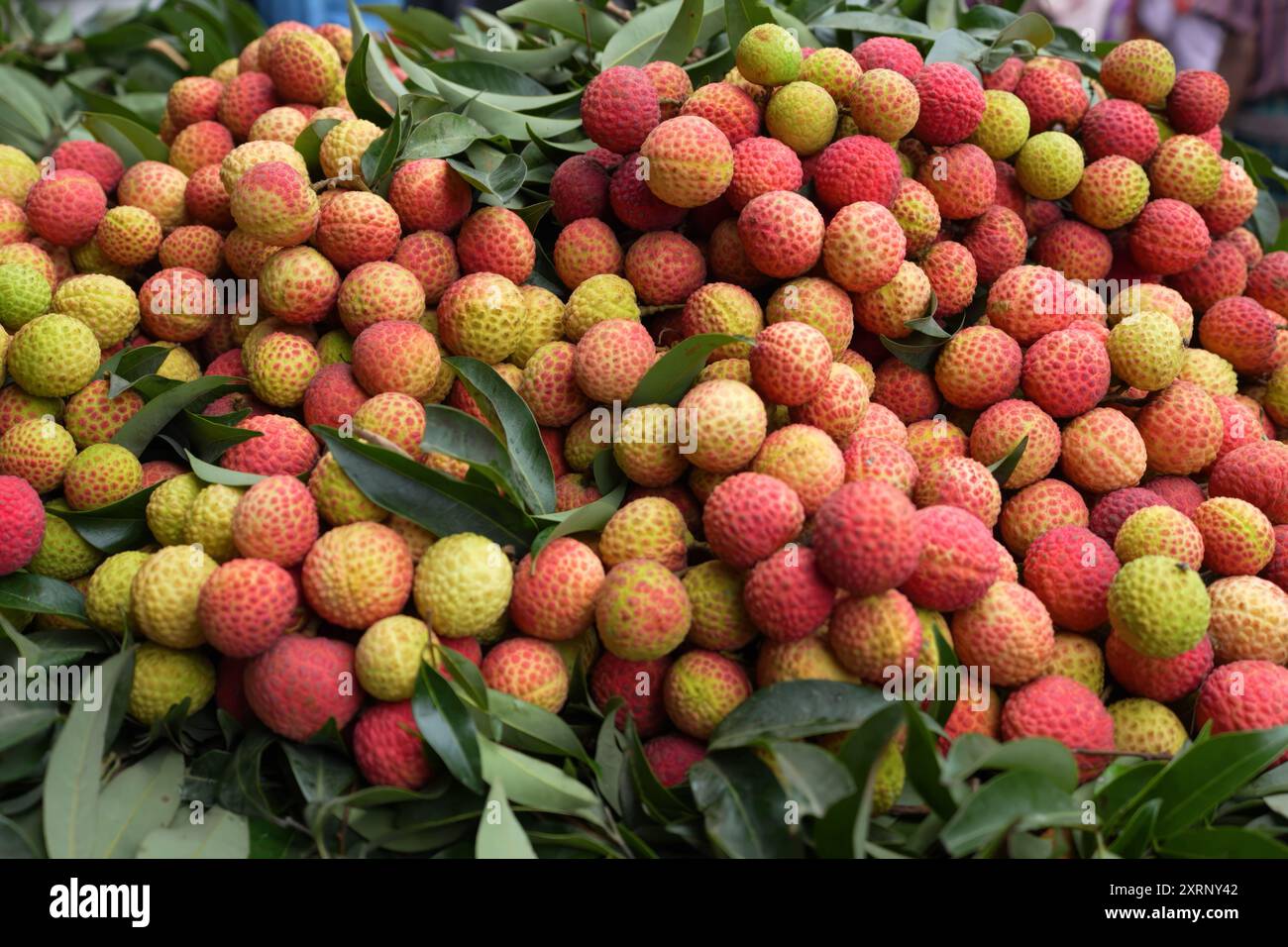 Ripe lychees, ready for sale at the market. Vibrant colors and juicy ...