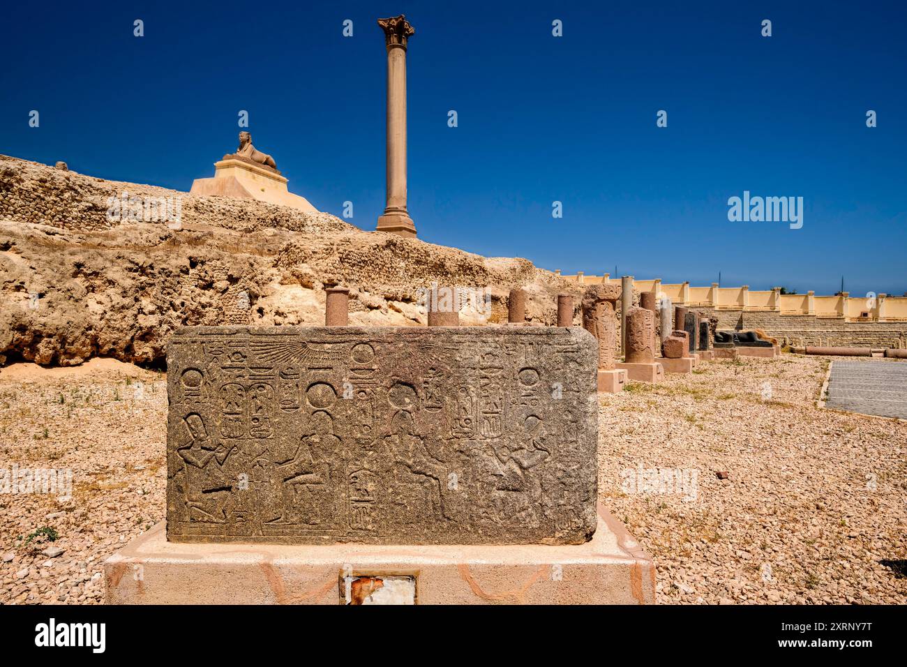 One of the Sphinx Statues and other remains of the Serapeum of ...
