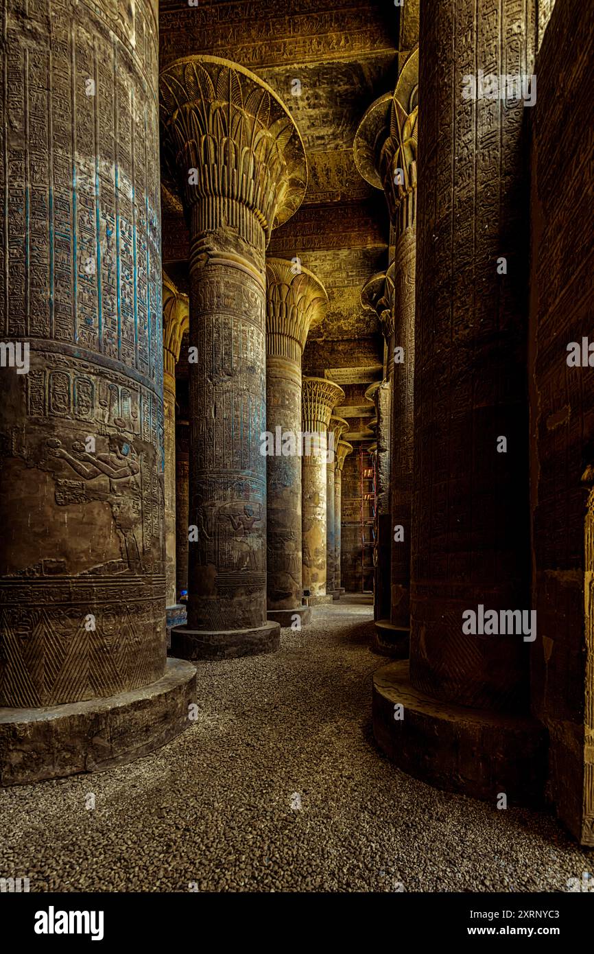 Columns in the Vestibule, arranged in 3 rows with 6 columns each ...