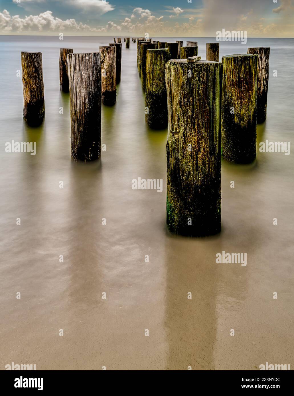 Old Naples Pier wood Pilings Stock Photo - Alamy