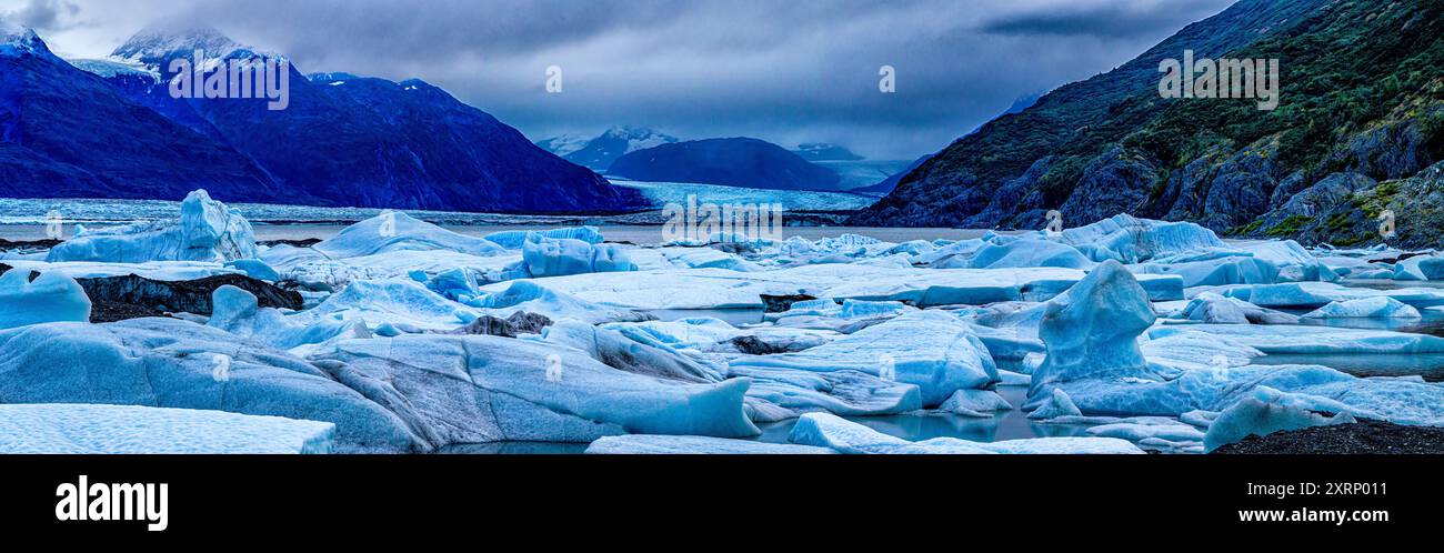 Chunks of ice floating in the Knik river at the terminus of the Knik ...