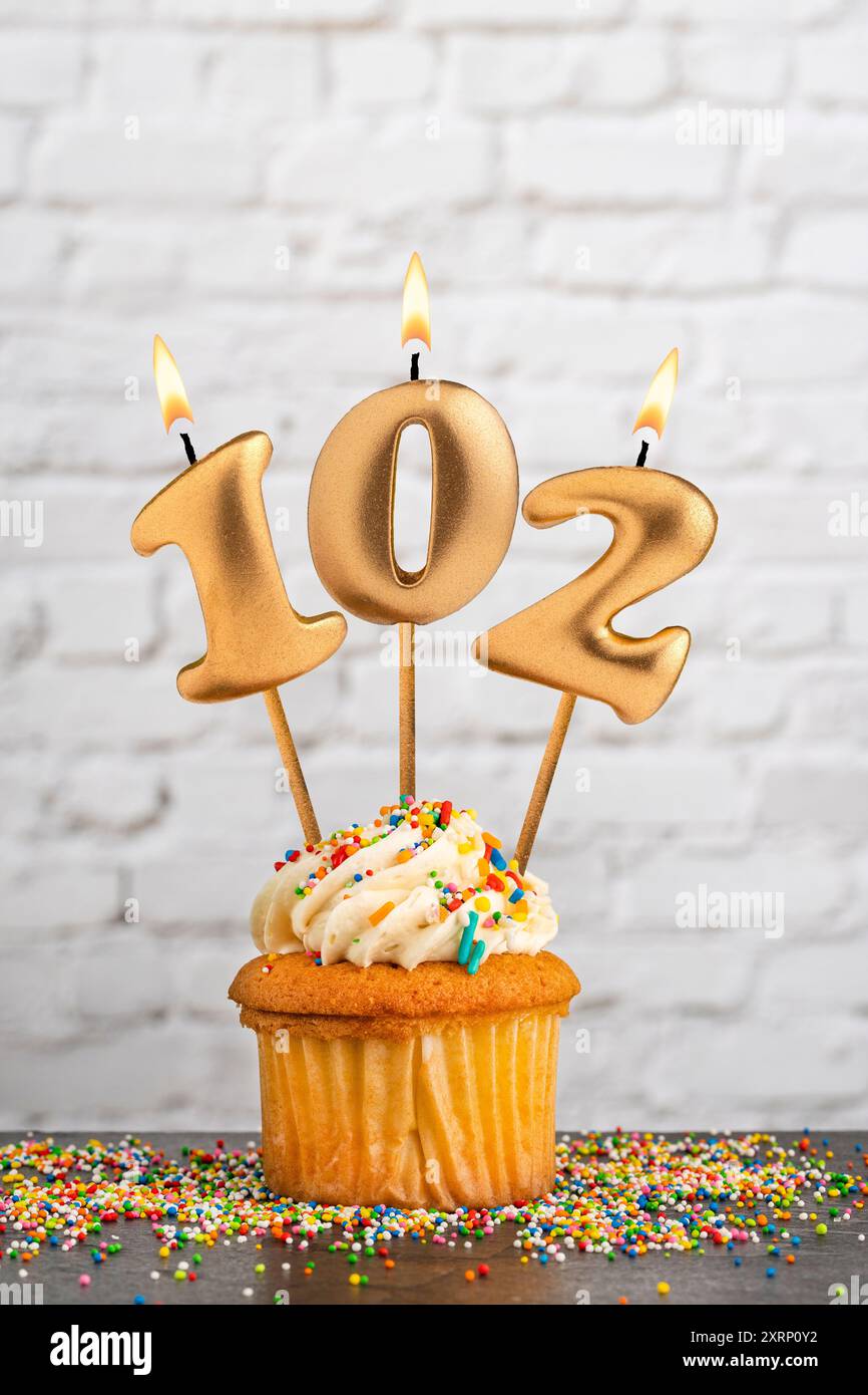 Cupcake with number 102 birthday candle - White block wall background ...
