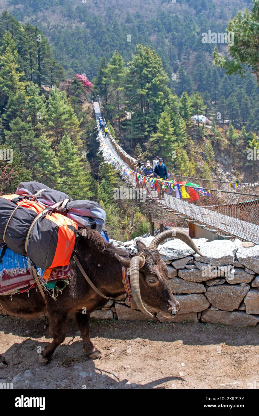 Bridge crossing on the Everest Base Camp trek Stock Photo - Alamy