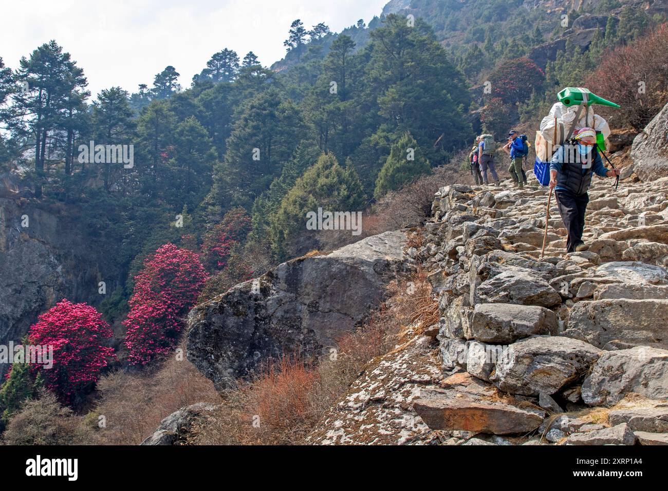 Porter on the Everest Base Camp trail Stock Photo - Alamy
