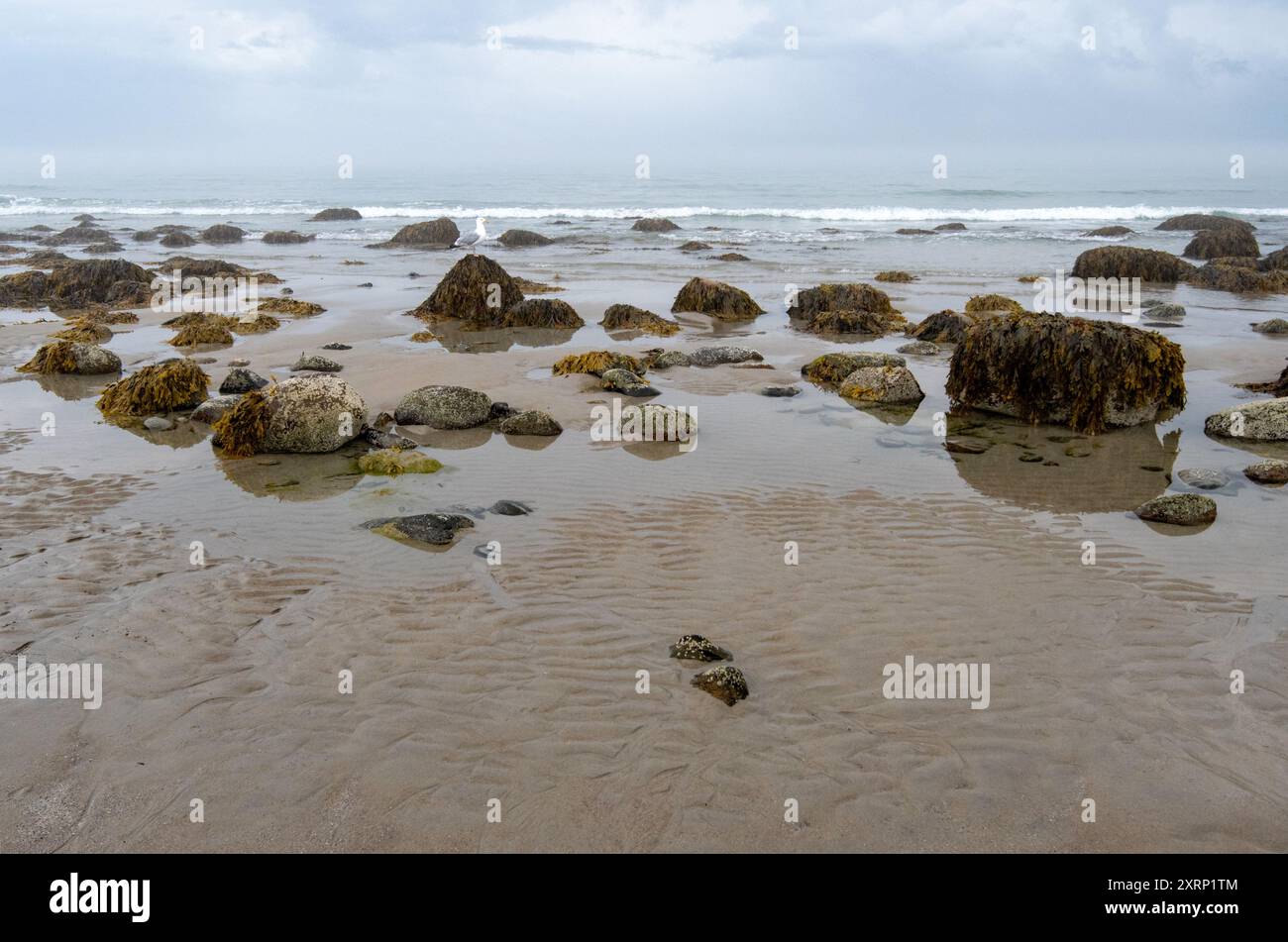 Patterns in sand at the beach Stock Photo - Alamy
