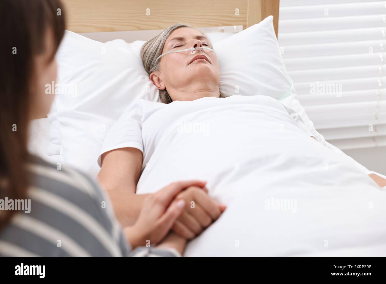 Coma patient. Woman near her unconscious mother in hospital Stock Photo ...